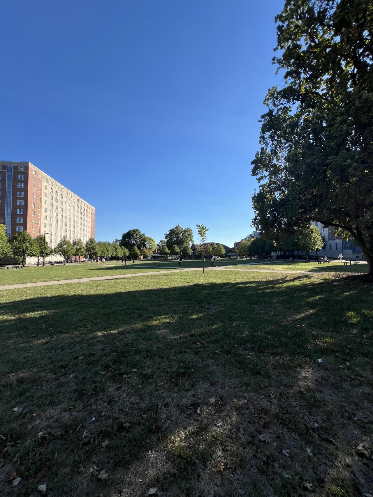 Siebert Lawn/Hale Green : Events and Conferences